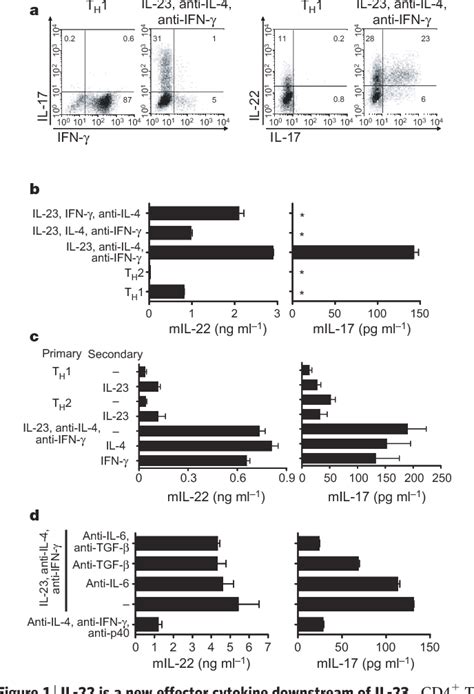 Inflammatory Dermatosis Semantic Scholar