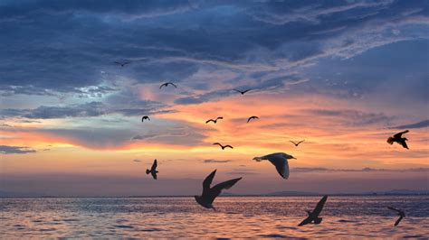 System Design For Efficient On Prem To Cloud Migration