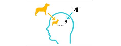 학습과학 새 연재17 효과적인 수업 기술 이중 부호화dual Coding와 멀티미디어 학습경험 설계 원칙의 적용 교육을바꾸는사람들