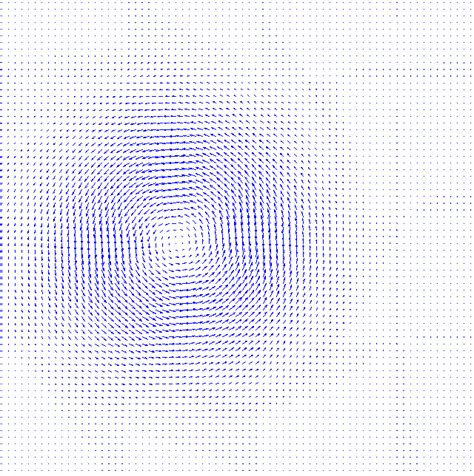 Vector Field Denoising Using Vf Regularization This Is An Example With