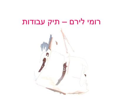 ‏romy Liram Portfolio Ppt