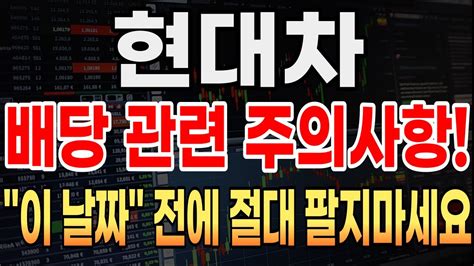 현대차 기아 배당관련 주의사항 이 날자 전에 절대 매도금지 현대차 현대차주가 현대차주가전망 기아 기아주가 기아주가전망 저pbr Youtube