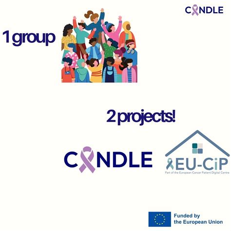 Stakeholder Engagement Group Candle Project