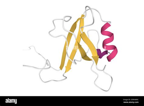Structure Of Human Interleukin 16 3d Cartoon Model Isolated With Differently Colored Secondary