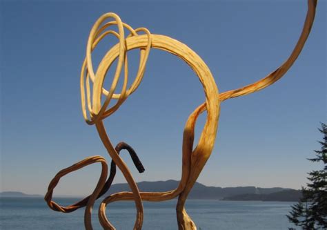 Pacific Seaweed Design By Scott Williams At