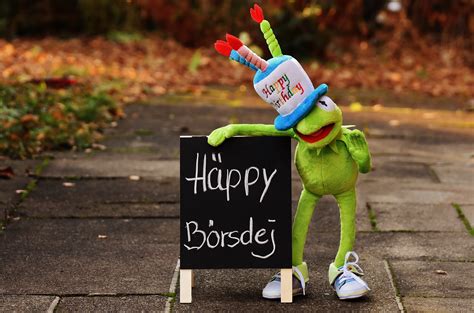 무료 이미지 봄 녹색 색깔 개구리 생일 축하 행복 이상한 즐거움 커미트 운 인사말 카드 치하 생일 카드