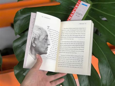 Tìm hiểu cội nguồn của thiền thông qua trích dẫn Thiền là gì của triết gia J Krishnamurti