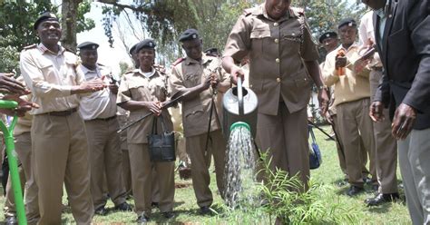 Ngao Urged To Collaborate In Executing Their Duties Kenya News Agency