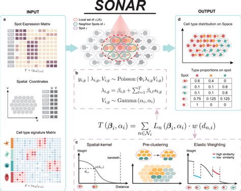 Sonar Enables Cell Type Deconvolution With Spatially Weighted Poisson