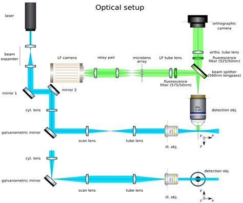 Light Sheet Microscopy Review Shelly Lighting