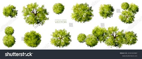 Vector Watercolor Green Tree Top View Stock Vector Royalty Free Shutterstock