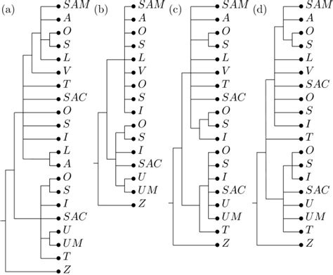 Input Trees For Second Example The Second Collection Of Mul Trees We Download Scientific