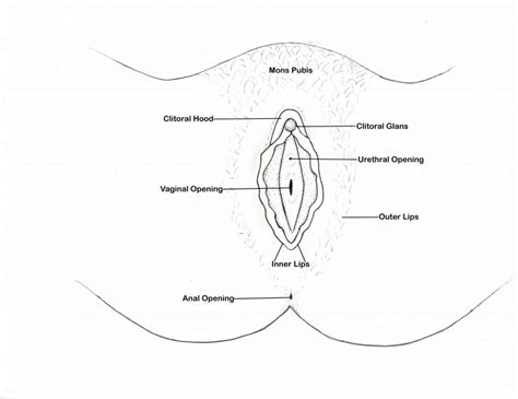 Best Vibrators According To A Sex Therapist