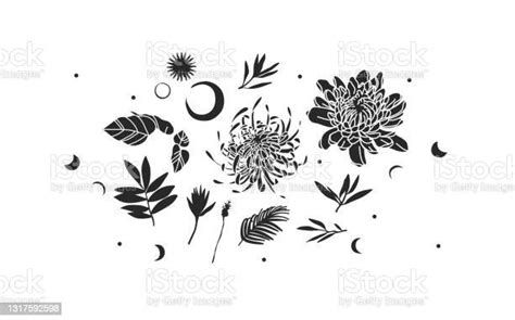 손으로 그린 벡터 추상 적 스톡 플랫 그래픽 일러스트 는 로고 요소 마법의 신성한 보헤미안 달 별 태양 꽃과 흰색 배경에 고립 된 잎 실루엣세트 신비한 아이콘 컬렉션 작약에