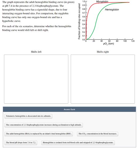 Solved Myoglobin Do Hemoglobin The Graph Represents The