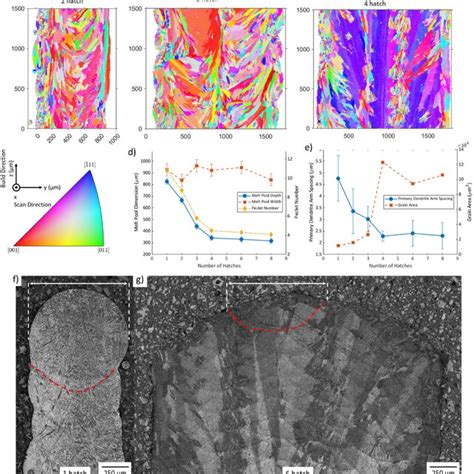 High Resolution Optical Micrographs Of 4 Walls Of Varying Thickness