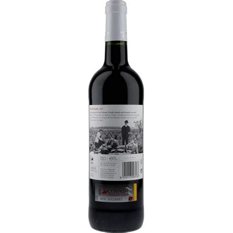 Osta Torres San Valentin Tempranillo 13,5% juomien verkkokaupasta ...