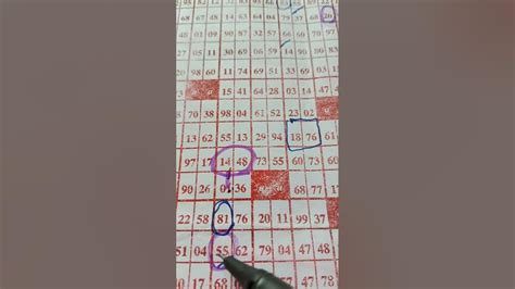 30 5 2024 31 5 2024ကျန်2ရက်နှင့်ယနေ့ည9နာရီliveလွှင့်ပါမည် Youtube