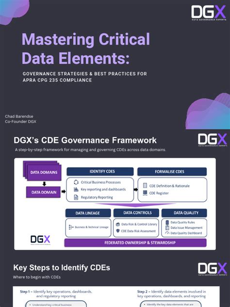 Mastering Critical Data Elements Pdf Business