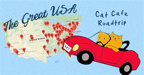 Find A Cat Cafe Near Me That Cat Life That Cat Life