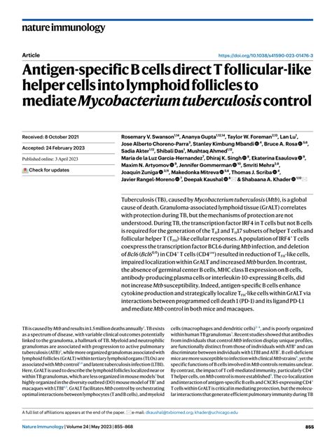 Pdf Antigen Specific B Cells Direct T Follicular Like Helper Cells