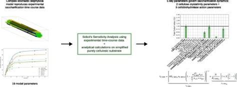 A Detailed Sensitivity Analysis Identifies The Key Factors Influencing The Enzymatic