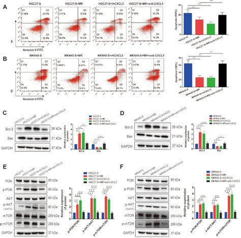 Naturethink多细胞培养共培养体系共培养模型共培养实验动态细胞共培养仿血流多细胞动态共培养系统