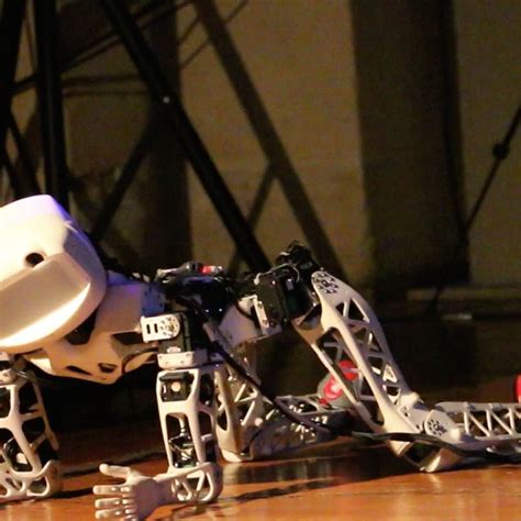 The Poppy Platform In Different Experimental Situations Download