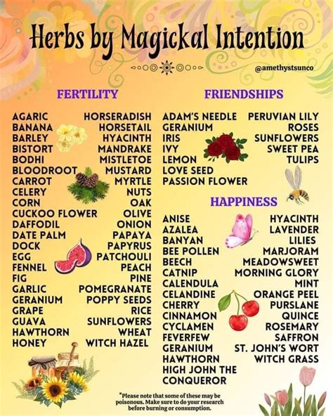 Best 13 Herbs Meanings Magick Artofit