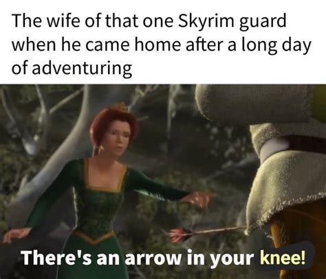 Making A Meme From Every Line In Shrek 2001 Day 496 Rshrek