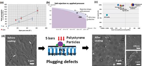 A Variation Of Pore Sizes Of Hydroxylated And Hydrogenated Nanoporous Download Scientific
