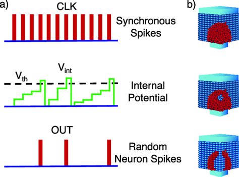 A Operation Principle Of The Proposed Stochastic Neuron A Train Of