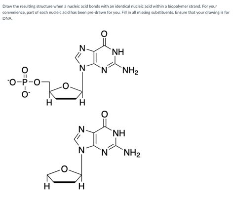 Solved Draw The Resulting Structure When A Nucleic Acid Chegg
