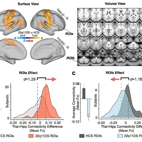 Interaction Derived Effects Resting State Functional Connectivity Of