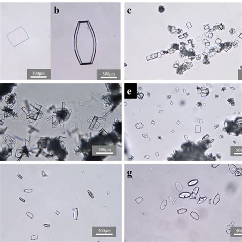 Molecular Structure And Lattice Structure Of Pyriproxyfen The Crystal Download Scientific