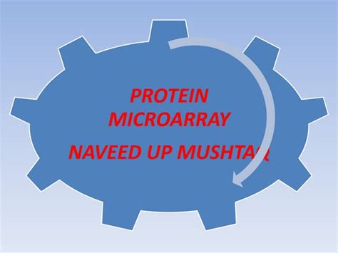 Protein Microarray Preparation Of Protein Microarray Different Methods