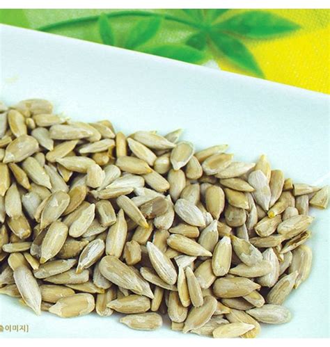 볶음 해바라기씨 500g 티몬