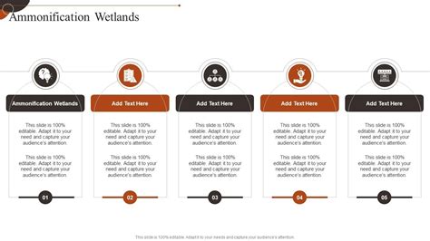 Ammonification Wetlands In Ppt Powerpoint Presentation Slide Templates