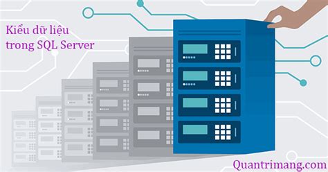 Các kiểu dữ liệu trong SQL Server QuanTriMang