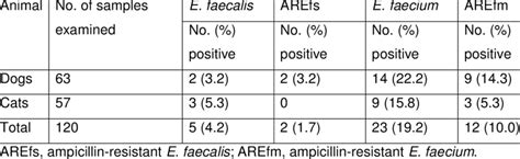 Prevalence Of Enterococcus Faecalis And Enterococcus Faecium Including Download Table