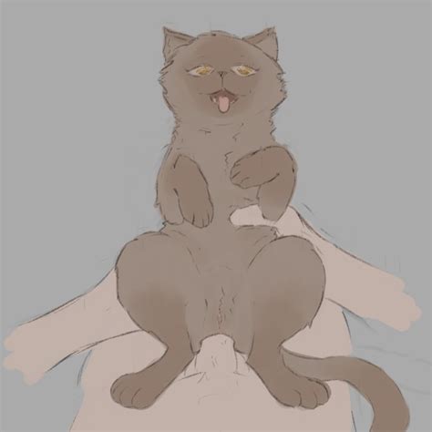 Rule 34 Anal Anal Sex Cowgirl Position Domestic Cat Duo Felid Feline