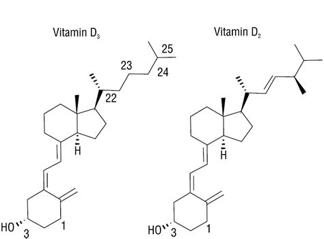 Vitamin D2 And D3 Structure