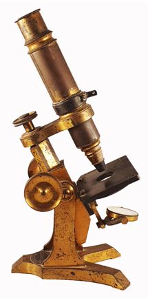 A Close Up Of A MicroscopeDescription Automatically Generated