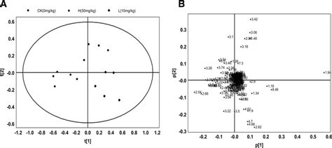 PLS DA Score Plots A And Corresponding Loading Plots B Of Urine