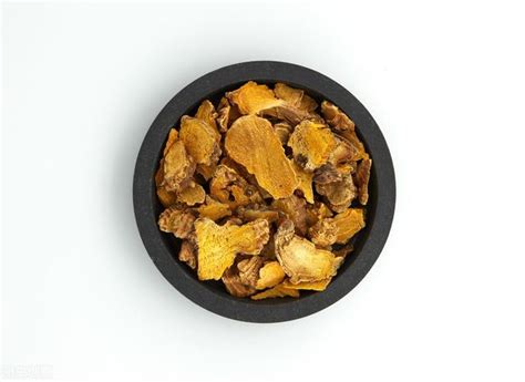 常用單味中藥 清熱藥清熱解毒藥 每日頭條