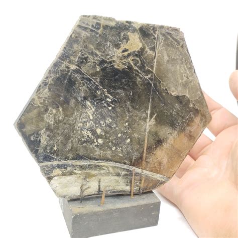 Phlogopite Mica Ontario Canada Ex Doumet