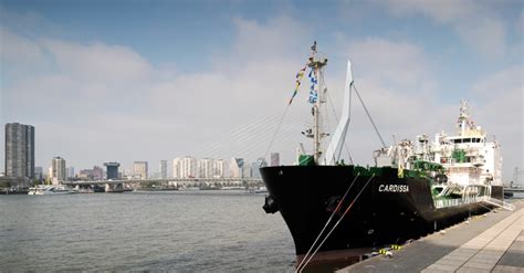 Lng For Transport Shell Global Shell