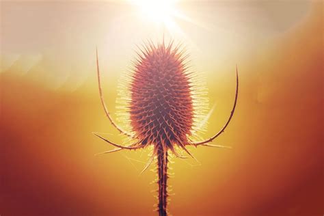 Symmetrical Balance Photography Examples