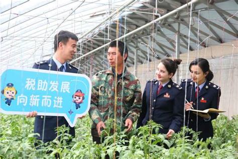 税惠服务农业向“新”而行中国网