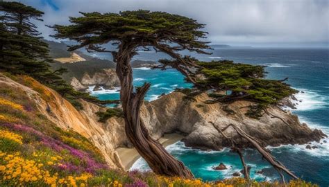 Point Lobos State Natural Reserve Explore California Parks Verdant